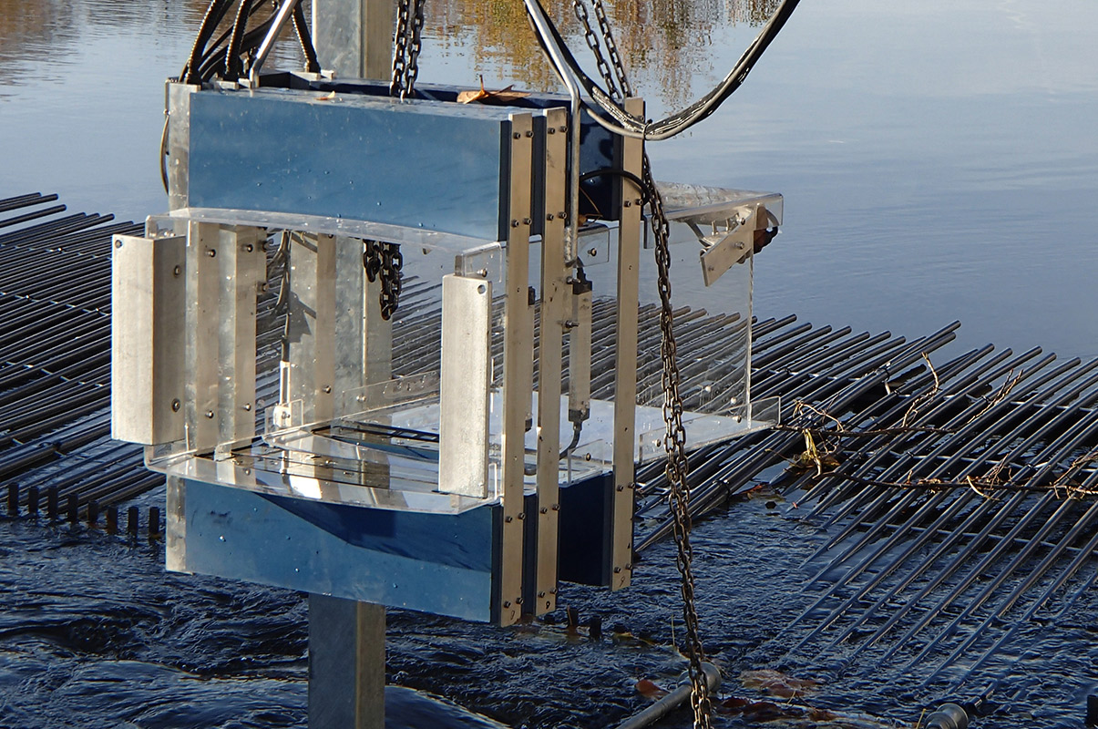 Video Observations Fish Counting Systems